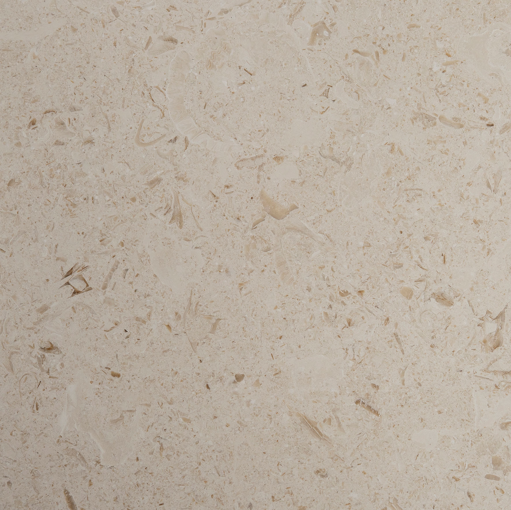 Stone Types – Laodikeia Marble